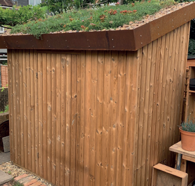 Wallbarn M-Tray® Sedum Wildflower Green Roof Modules 500 x 500 x 100mm ...