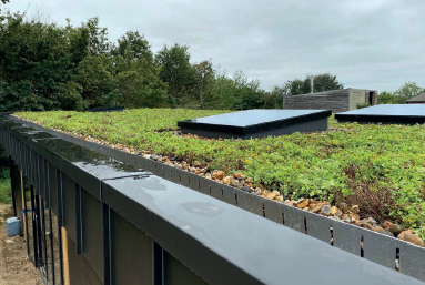 Wallbarn M-Tray® Sedum Wildflower Green Roof Modules 500 x 500 x 100mm ...